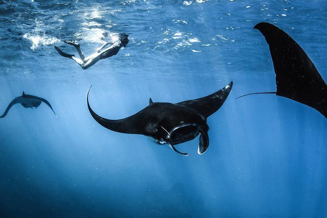 Highlights of Komodo - The Authentic Experience: What Travelers Say