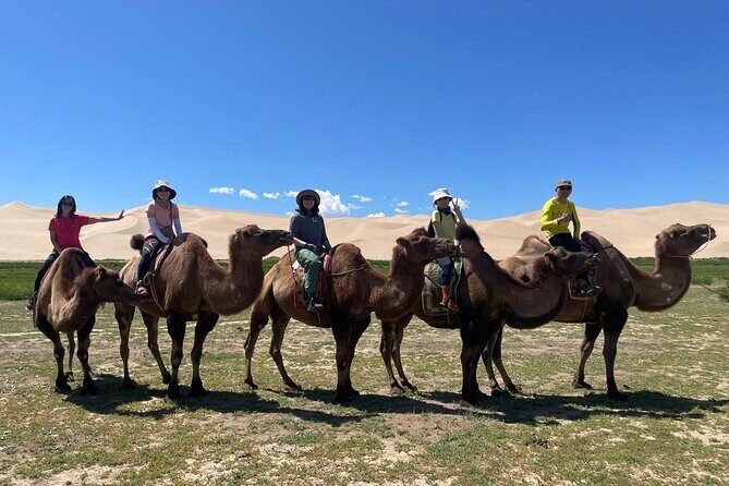 Highlights of the Gobi Desert in 6 days - What Travelers Can Expect