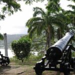 Highlights of Tobago Tour - An In-Depth Look at the Tobago Highlights Tour