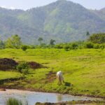 Higüey Countryside, Basilica and Macao Beach Private Tour - Who Will Love This Tour?