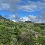 Hike Goto "Flamingo" Meer Trail & Explore North Bonaire - Who Is This Tour Best For?