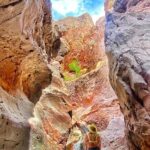 Hike in Kayak Out! Arizona Hot Springs, Boyscout, and Goldstrike - Why Choose This Tour?