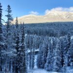 Hike Joffre Lake, Whistler & Shannon Falls Tour - What Travelers Are Saying