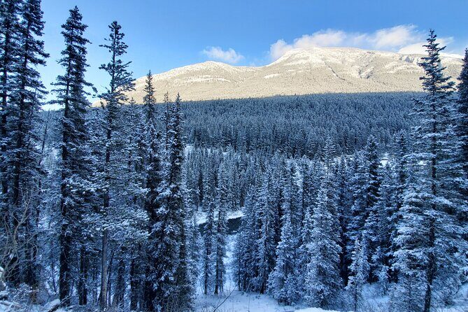 Hike Joffre Lake, Whistler & Shannon Falls Tour - What Travelers Are Saying