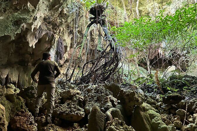 Hike Manantial De Guayaney Moderate Adventure - Final Thoughts: Who Will Love This Tour?