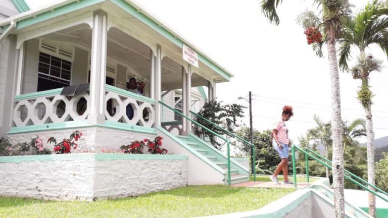 Hiking Adventure Through Grand E'tang RainForest - What Sets This Tour Apart