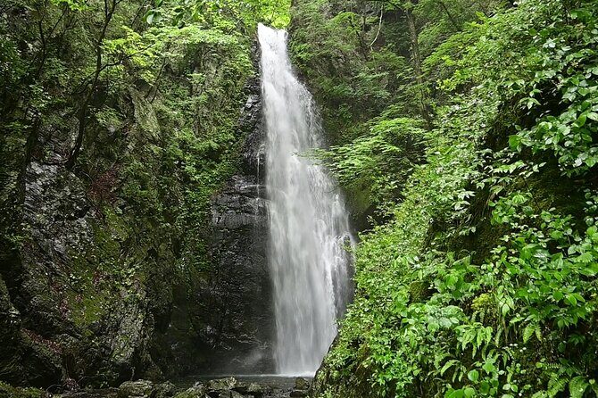 Hiking Adventure to Mt. Kawanori, into Tokyos Wilderness - Authentic Experiences and What Travelers Have Said