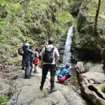 Hiking Adventure to Mt. Mitake, escaping from the Heart of Tokyo - Who Will Love This Tour?