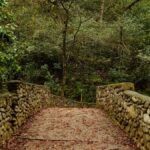 Hiking and a visit to a waterfall in the city: La Estanzuela - An In-Depth Look at the La Estanzuela Hike