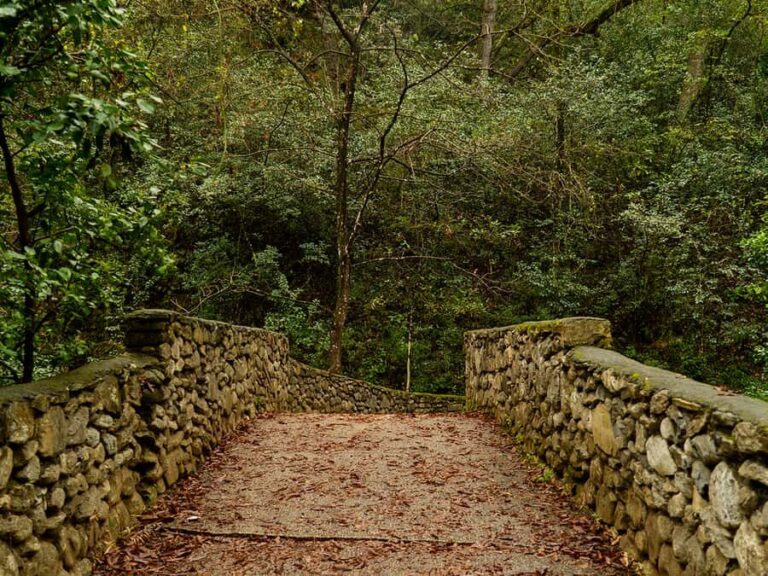 Hiking and a visit to a waterfall in the city: La Estanzuela - An In-Depth Look at the La Estanzuela Hike