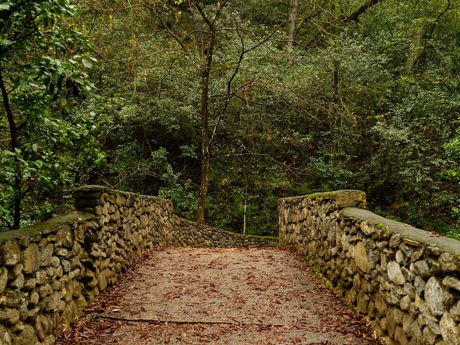 Hiking and a visit to a waterfall in the city: La Estanzuela - An In-Depth Look at the La Estanzuela Hike