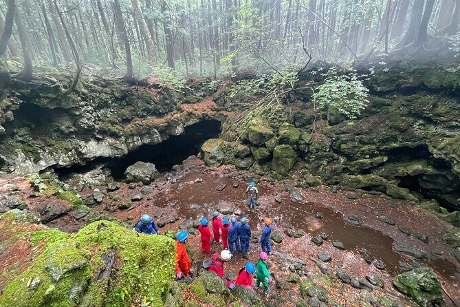 Hiking and Caving in Aokigahara Forest at the Foot of Mt. Fuji - Practical Details and Value