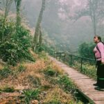 Hiking Fansipan in 1 day - The Sum Up