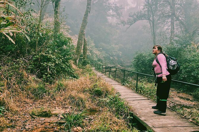 Hiking Fansipan in 1 day - The Sum Up