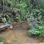 Hiking in Benito Juárez National Park - What Makes This Tour Stand Out?