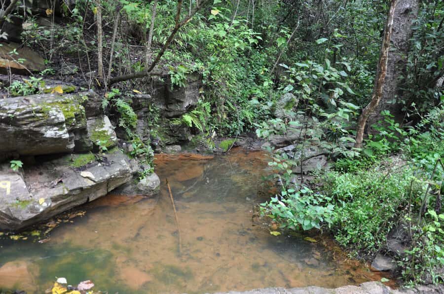 Hiking in Benito Juárez National Park - What Makes This Tour Stand Out?