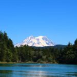 Hiking in Mount Rainier Private Tour from Seattle - What You Can Expect on the Day