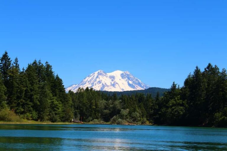 Hiking in Mount Rainier Private Tour from Seattle - What You Can Expect on the Day