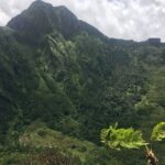 Hiking Mount Liamuiga Volcano in St Kitts - What’s Included and What’s Not