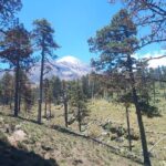 Hiking Tour on the Pico de Orizaba Volcano - The Value of the Tour