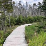 Hiking Trail at Louisbourg Lighthouse Scenic Coastal Views Tour - Practical Details: What You Need to Know