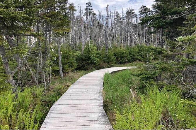 Hiking Trail at Louisbourg Lighthouse Scenic Coastal Views Tour - Practical Details: What You Need to Know