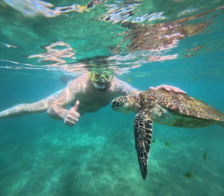 Hikkaduwa: Amazing Snorkeling with Coral, Fish & Turtles - The Reality Check: Reviews and Practical Considerations