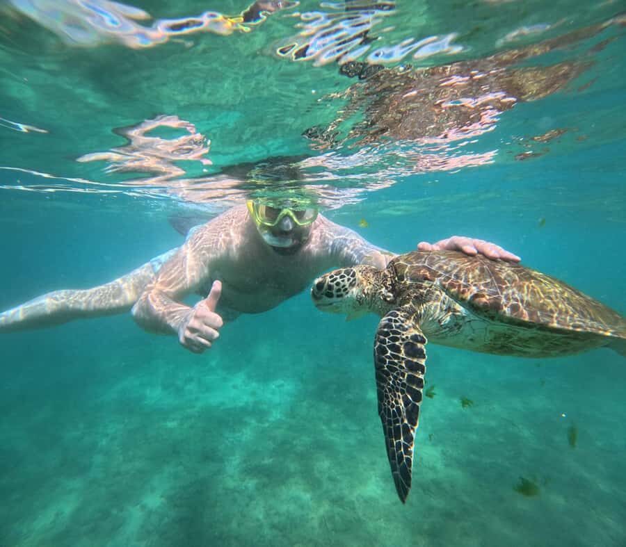 Hikkaduwa: Amazing Snorkeling with Coral, Fish & Turtles - The Reality Check: Reviews and Practical Considerations