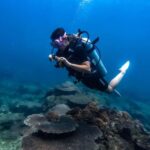 Hikkaduwa: Discover Scuba Diving Experience with Guide - What to Expect from Your Discover Scuba Experience