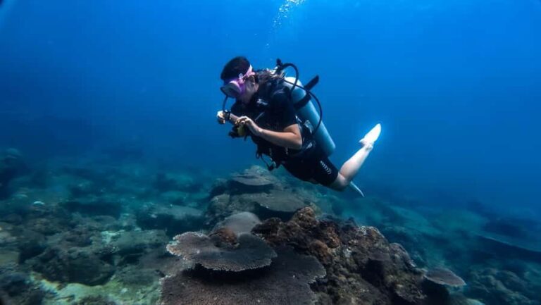 Hikkaduwa: Discover Scuba Diving Experience with Guide - What to Expect from Your Discover Scuba Experience
