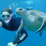 Hikkaduwa Unforgettable Snorkeling Experience - The Marine Life and Viewing Experience