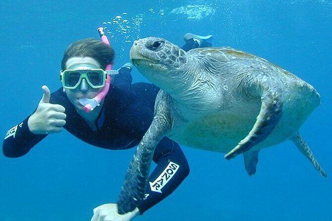 Hikkaduwa Unforgettable Snorkeling Experience - The Marine Life and Viewing Experience