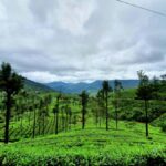 Hill Country of Sri Lanka in 3 Days Private Tour with Hotels - Transportation and Group Size