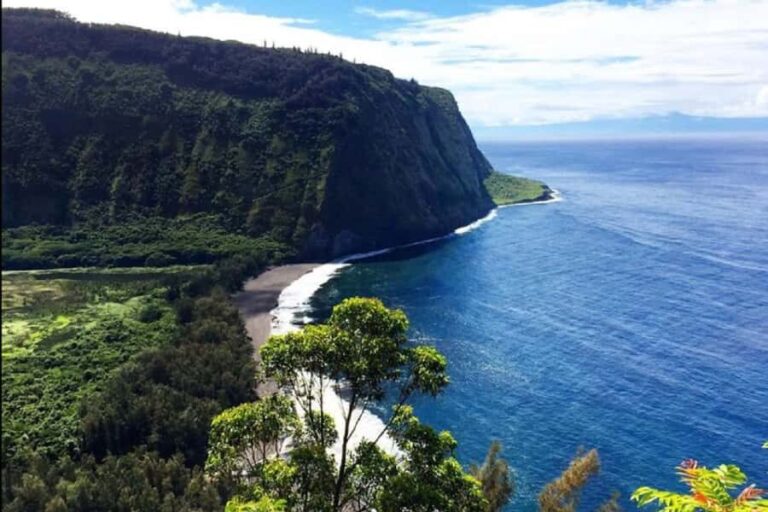 Hilo Bay & Coconut Kayak Adventure - The Itinerary in Detail