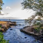Hilo Finest Waterfalls and Town Tour - Who Should Consider This Tour?