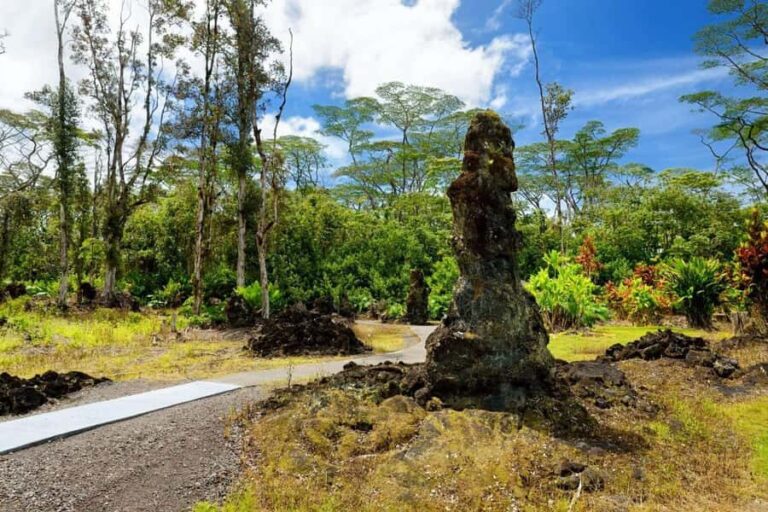 Hilo: Volcano Safari Tour - The Experience of Walking Among Lava Trees
