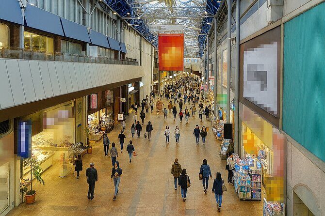 Himeji Castle and Sake Brewery Tour Private Day Trip - Who Will Enjoy This Tour?