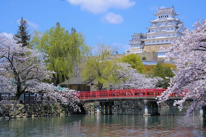 Himeji Castle Cherry Blossom Tour - The Sum Up