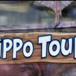 Hippo Splash Amphibious Tour in Cozumel - What Travelers Say and Why It Matters