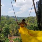 Hire Bali Driver As Your Guide - A Practical Overview: What You Can Expect