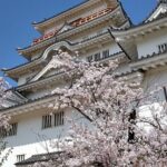 Hiroshima Luxurious Private Tour with English Guide - A Deep Dive into the Tour Experience
