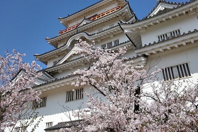 Hiroshima Luxurious Private Tour with English Guide - A Deep Dive into the Tour Experience