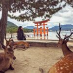 Hiroshima: Miyajima Island UNESCO Site Guided Tour - The Itinerary in Depth