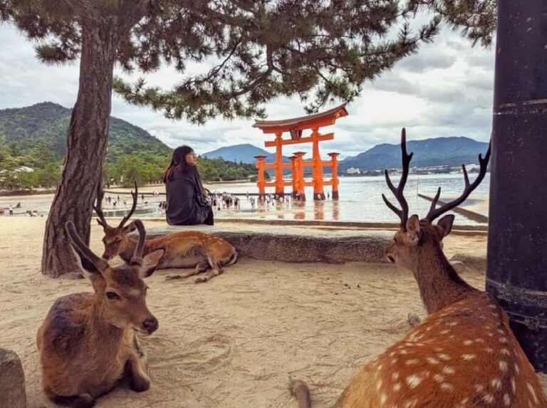 Hiroshima: Miyajima Island UNESCO Site Guided Tour - The Itinerary in Depth