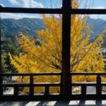 Hiroshima: Miyajima Private Tour with Ferry Ride - Exploring Itsukushima Shrine