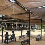 Hiroshima & Miyajima Tour: Peace Park, Dome & Shrine Visit - The Practicalities and What They Mean for You