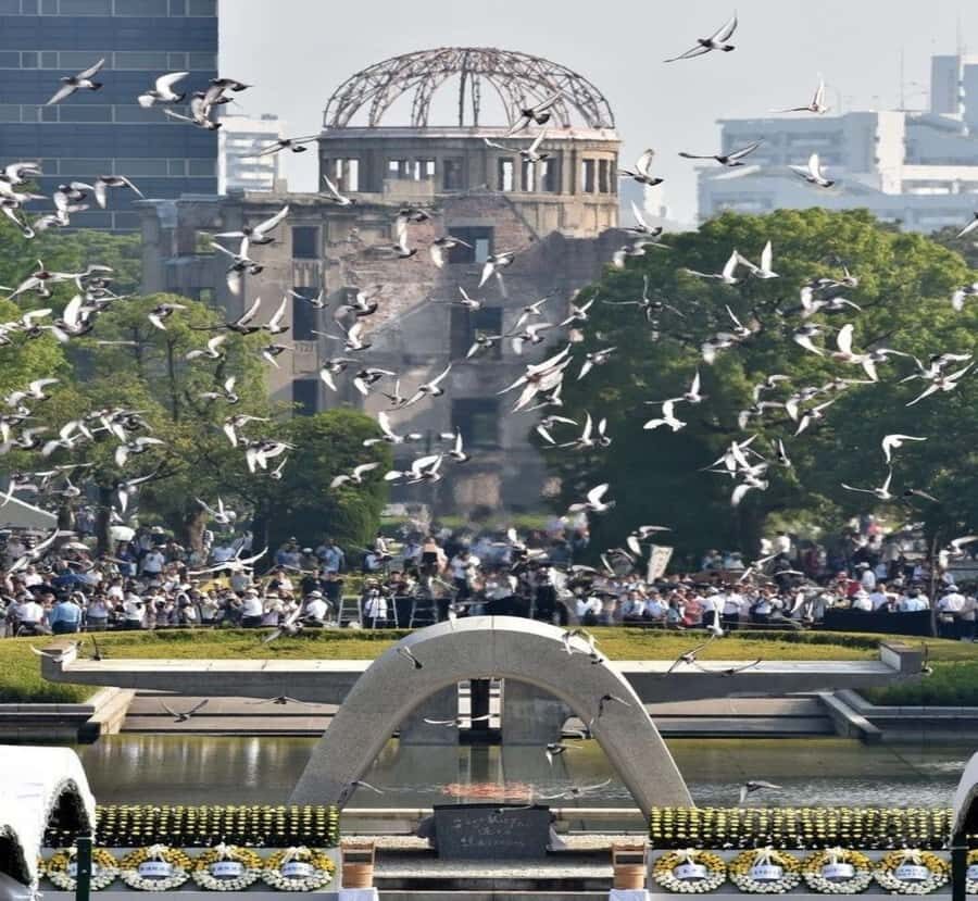 Hiroshima: Private Tour with Miyajima Island & Driver - What Makes This Tour Stand Out?