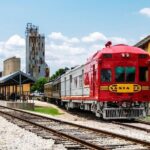 Historic Downtown Grapevine Tour for Large Groups - The Value of This Experience