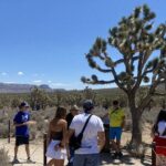 Historic Grand Canyon Western Ranch by Van with Helicopter Tour - What Makes This Tour Stand Out