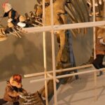 Historic Gyeonju Trip - Final Thoughts